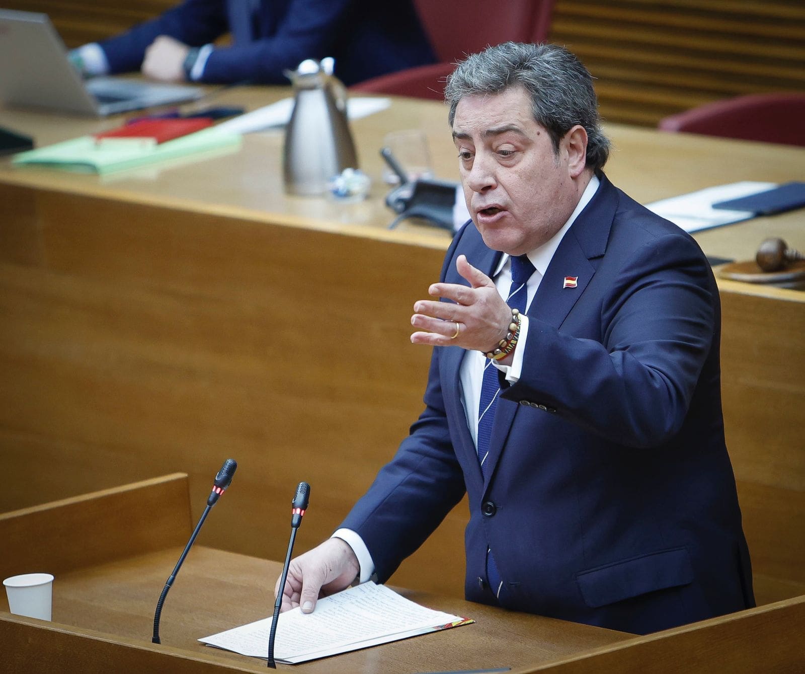 Vox sustituye a Ana Vega como síndica en les Corts y nombra en su lugar ...