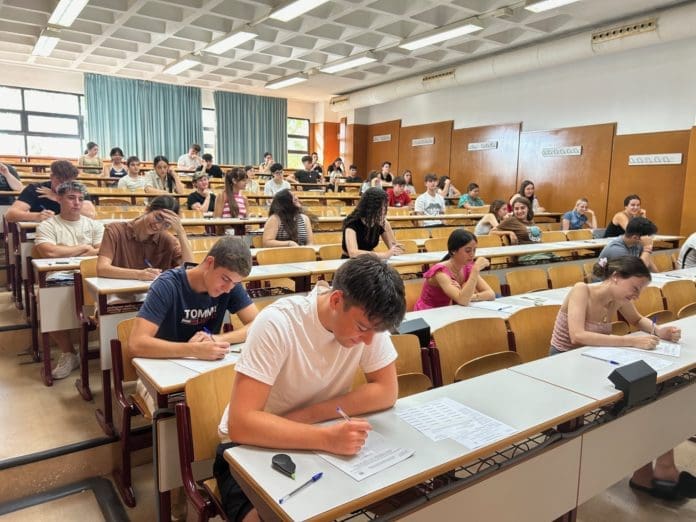 News of the PAU 2026 regulations in the Community - Diario de Alicante