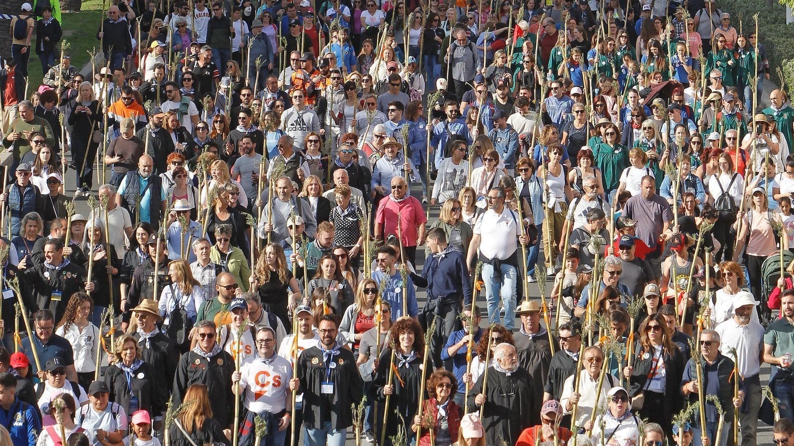 Santa Faz Pilgrimage: Tradition and Devotion
