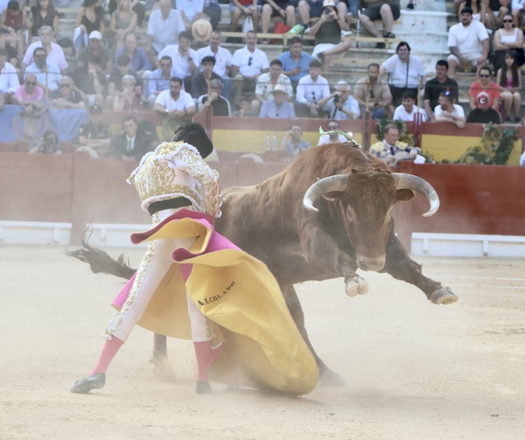 Javier Cuartero opens the main gate at the Hogueras bullfight - Diario ...