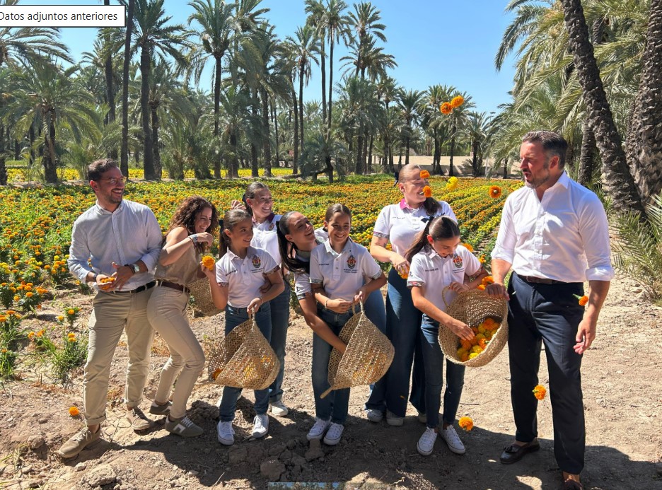 Elche recolecta 200.000 tagetes para la Batalla de las Flores