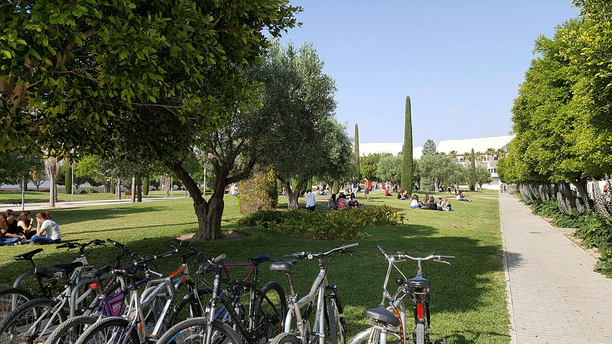 La UA, en el ‘top 10’ del Ranquin CYD de Universidades Sostenibles por ...