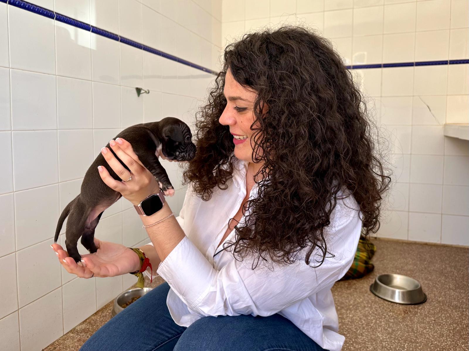 Alicante fomenta la tenencia responsable de animales